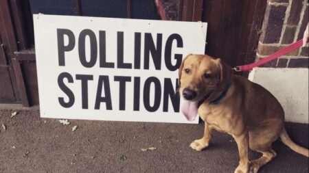 Islington Life - Poll Position